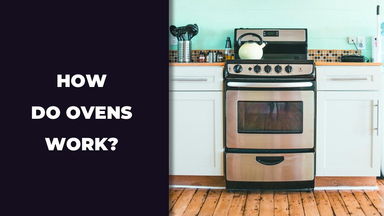 How Do Ovens Work? A Simple Guide to Heating, Airflow, & Cooking Food ...